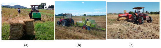 An Assessment on the Technical and Economic Feasibility of Mechanized ...