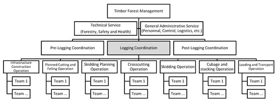 Wood-Logging Process Management in Eastern Amazonia (Brazil)