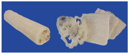 Recent Developments in Luffa Natural Fiber Composites: Review