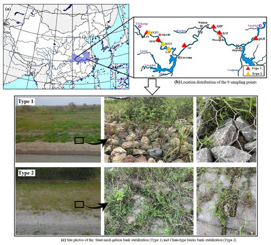 Comparative Analysis on Environmental Adaptability of Two Types of Bank ...