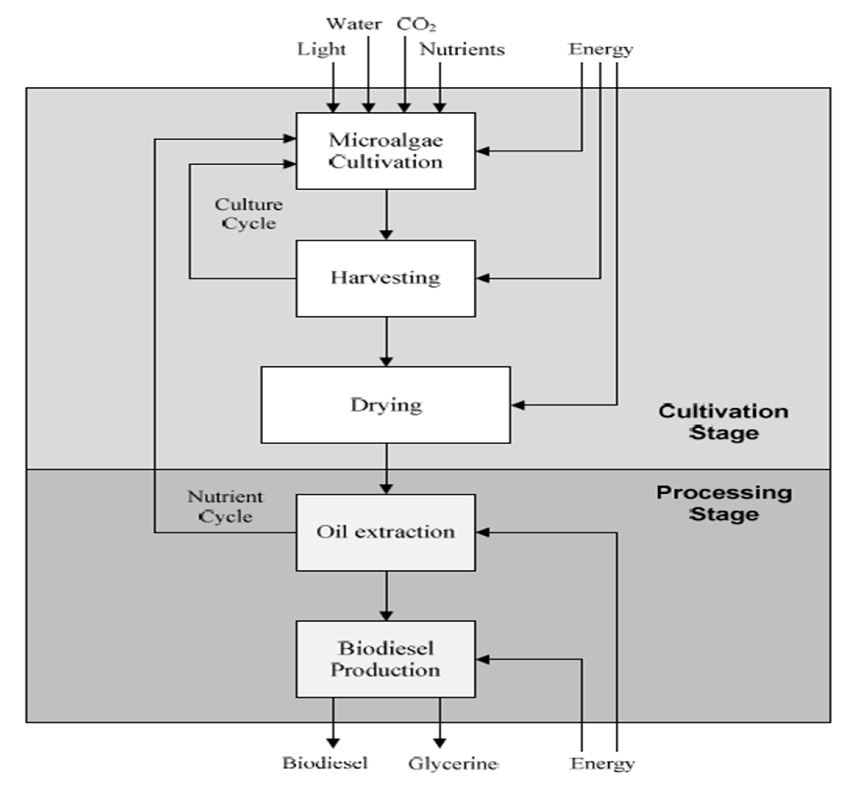 Biofuel from Microalgae: Sustainable Pathways