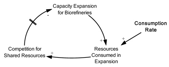Biofuel from Microalgae: Sustainable Pathways