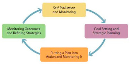 The Effect of Students’ Experience with the Transition from Primary to ...