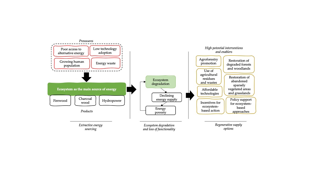 Sustainability | Free Full-Text | Ecosystem-Based Approaches to ...