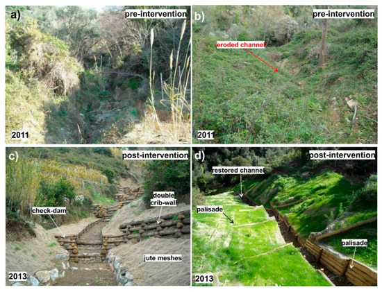 Application of Bioengineering Techniques as Geo-Hydrological Risk ...