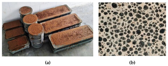 Durability Characteristics of Concrete Mixture Based on Red Ceramic ...