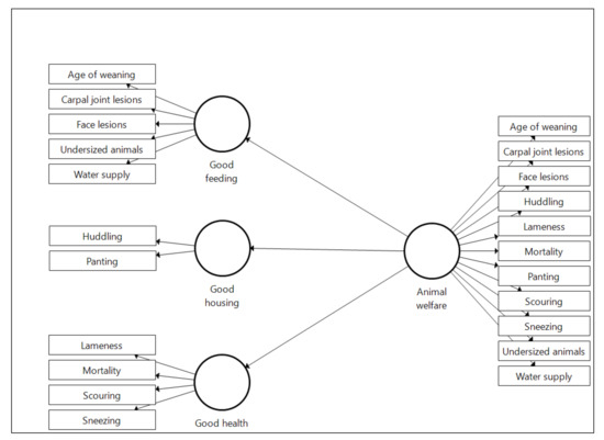 Sustainability | Special Issue : Animal Welfare and the United Nations ...