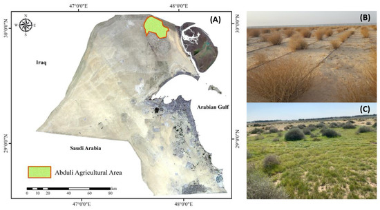 Assessing the Effectiveness of Supplemental Irrigation to Improve Soil ...