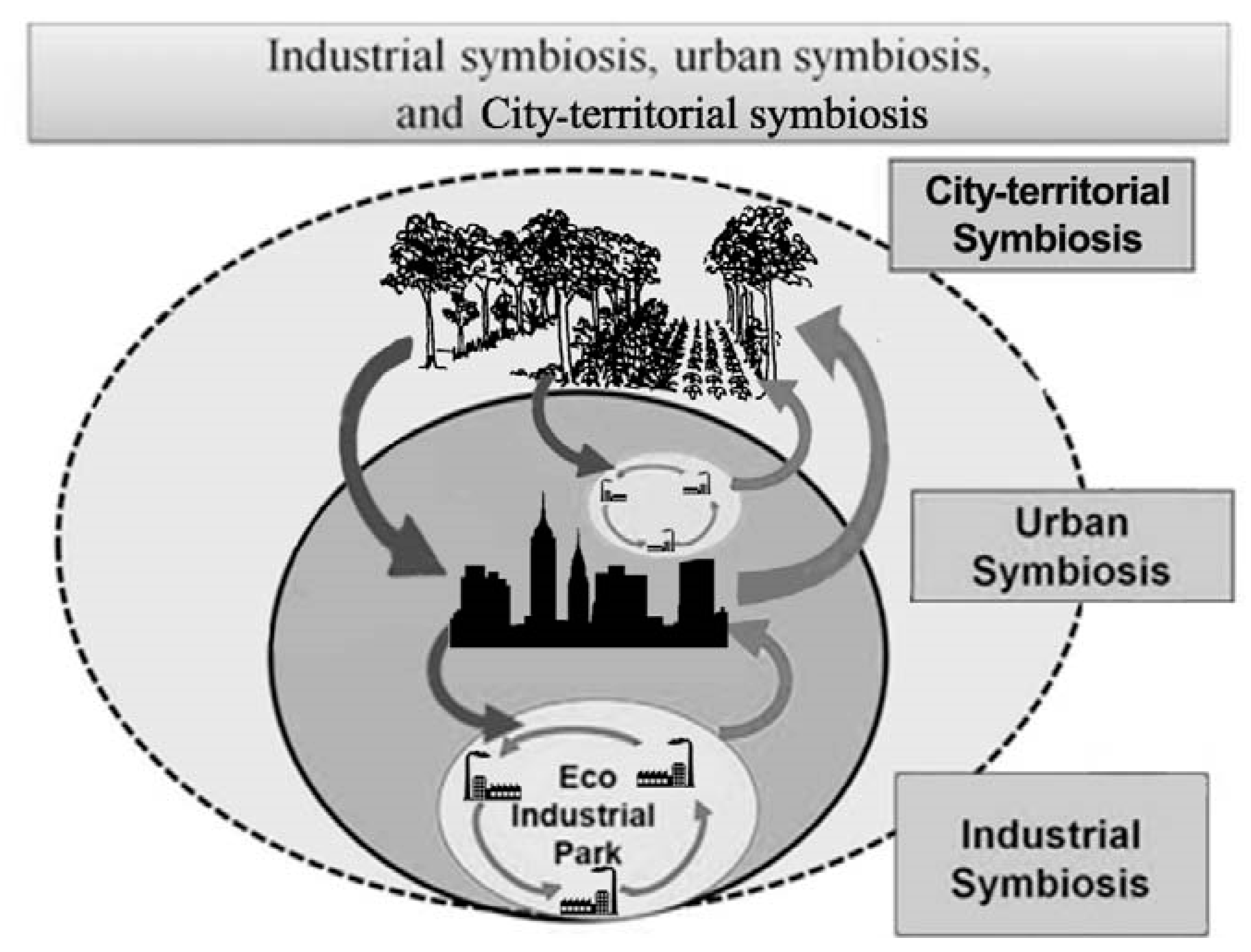 Patterns of Circular Transition: What Is the Circular Economy Maturity ...