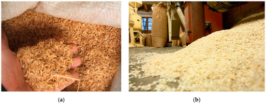 A Systemic Design Approach Applied to Rice and Wine Value Chains. The ...