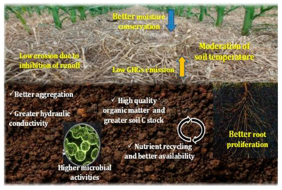 Management of Crop Residues for Improving Input Use Efficiency and Agricultural Sustainability