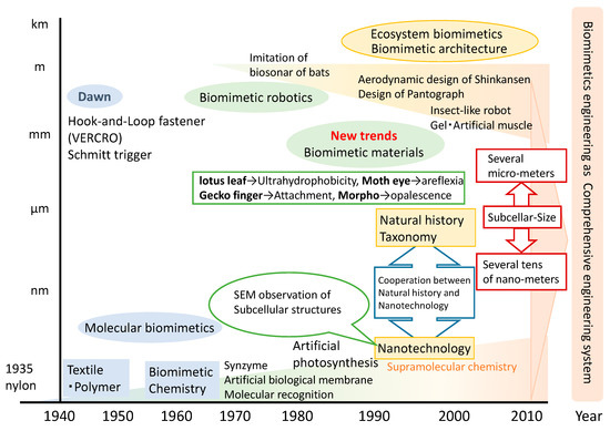 Application of Biomimetics to Architectural and Urban Design: A Review ...
