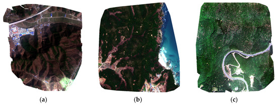Sustainability | Free Full-Text | Developing UAV-Based Forest Spatial ...