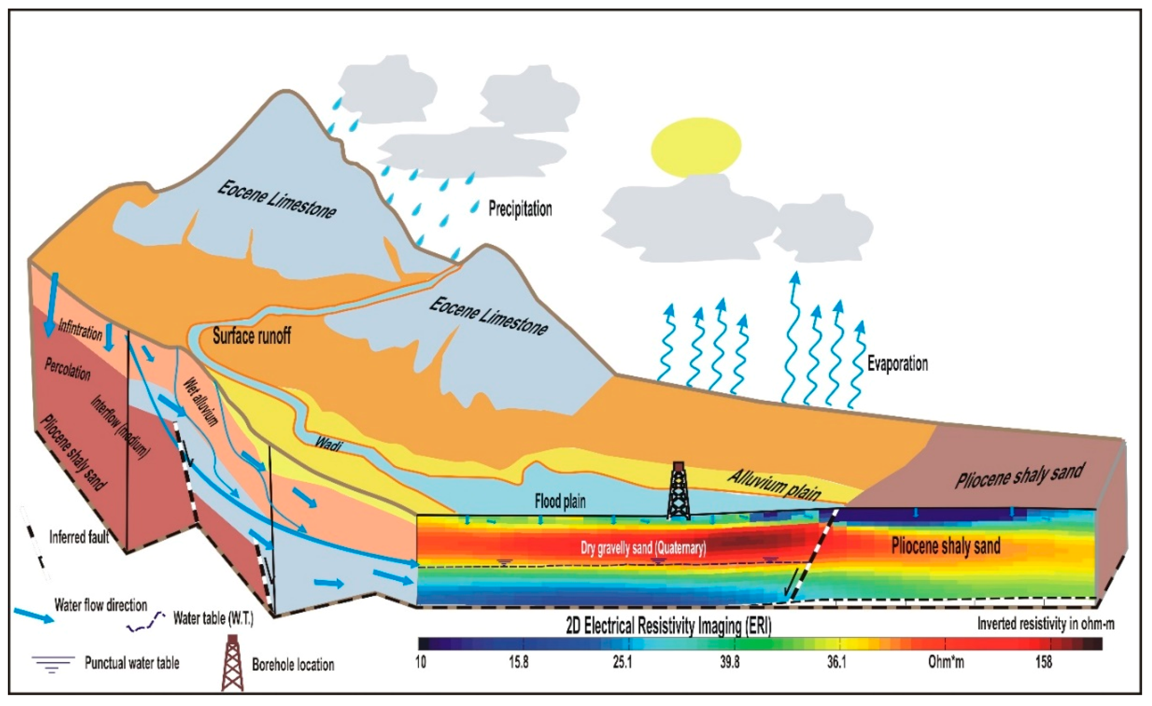Alluvial Plain Diagram