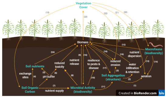 Sustainability | Free Full-Text | The Role of Citizen Science in ...