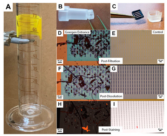 Silicon Nanomembrane Filtration and Imaging for the Evaluation of ...