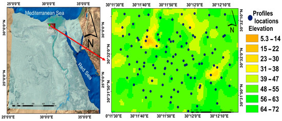 Deciphering Soil Spatial Variability through Geostatistics and Interpolation Techniques