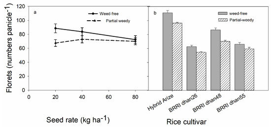 Interactive Effect of Weeding Regimes, Rice Cultivars, and Seeding ...