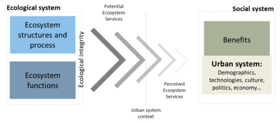 Urban Ecosystem-Level Biomimicry and Regenerative Design: Linking ...