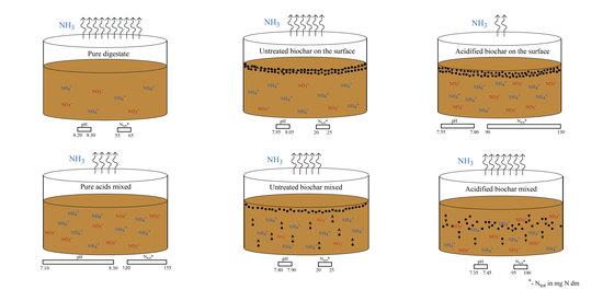 Sustainability | Special Issue : The Efficiency of Biochar and ...