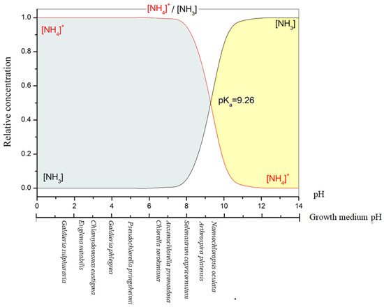 Ammonium Utilization in Microalgae: A Sustainable Method for Wastewater Treatment