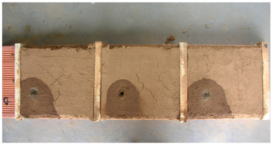 Earthen Plasters Stabilized through Sustainable Additives: An ...