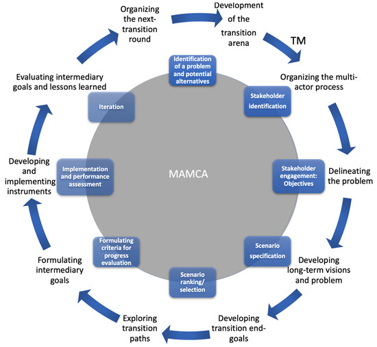 Application of Multi-Actor Multi-Criteria Analysis for Transition ...