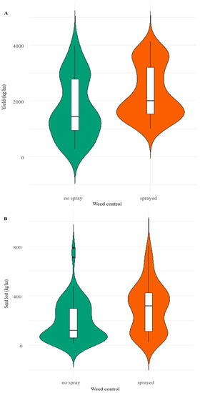 Sustainability | Free Full-Text | Minimizing Lentil Harvest Loss ...