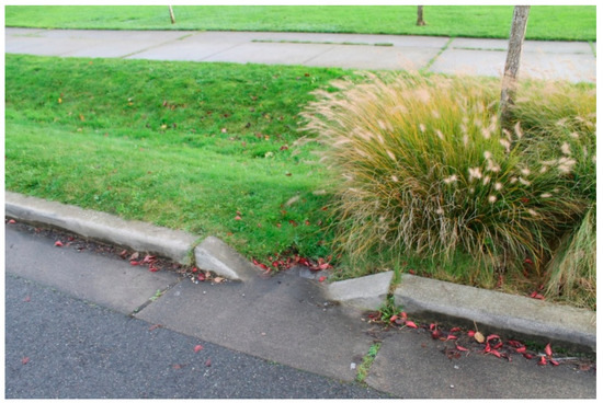 Understanding Green Street Design: Evidence from Three Cases in the U.S.