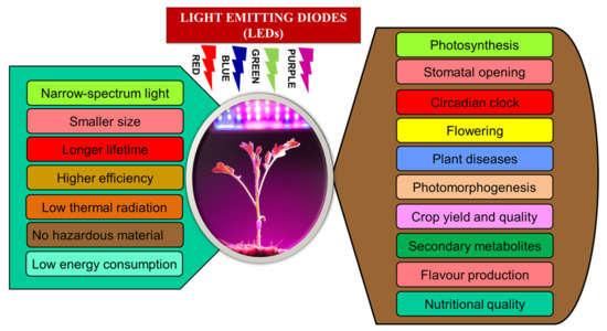 Light Emitting Diodes (LEDs) as Agricultural Lighting: Impact and Its Potential on Improving ...