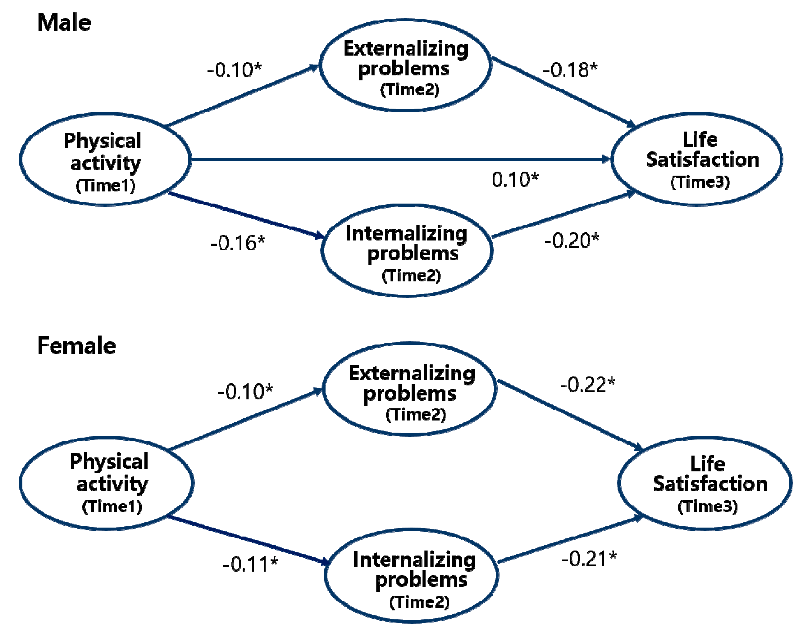 Sustainability | Free Full-Text | Long-Term Effect of Physical Activity on Internalizing and ...