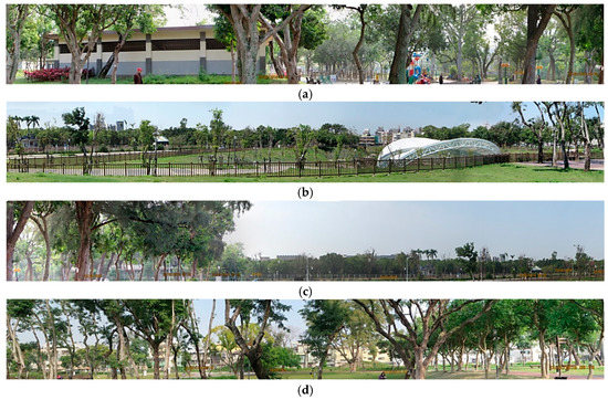 Effects of Three Levels of Green Exercise, Physical and Social ...
