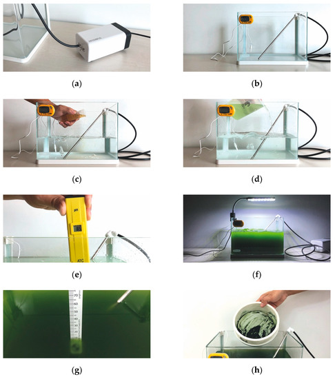 Microalgae as Future Superfoods: Fostering Adoption through Practice-Based Design Research