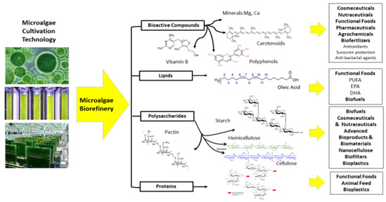 Prospects of Microalgae for Biomaterial Production and Environmental ...