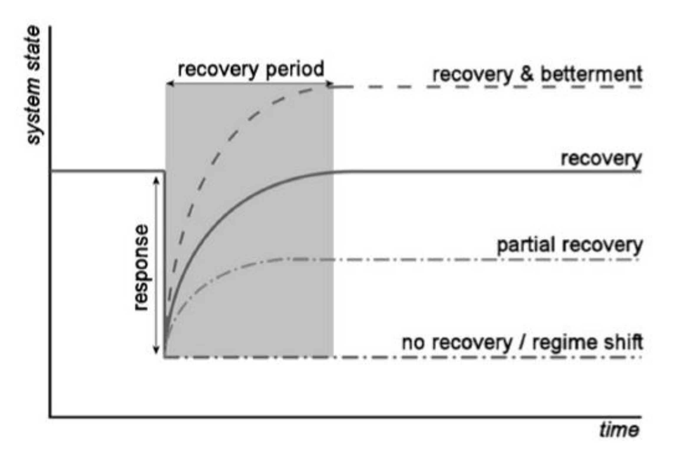 Quantifying Road-Network Robustness toward Flood-Resilient ...