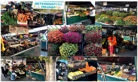 The Analysis of Local Marketplace Business on the Selected Urban Case ...