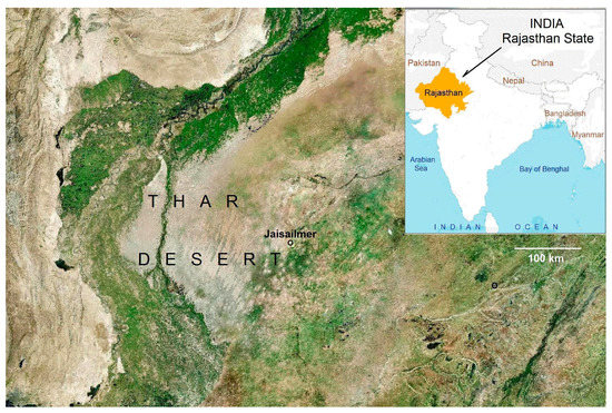Sustainability | Free Full-Text | Between Sand Dunes and Hamadas ...
