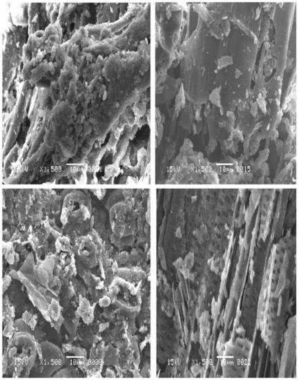 Physio-Chemical Characterization of Biochar, Compost and Co-Composted ...