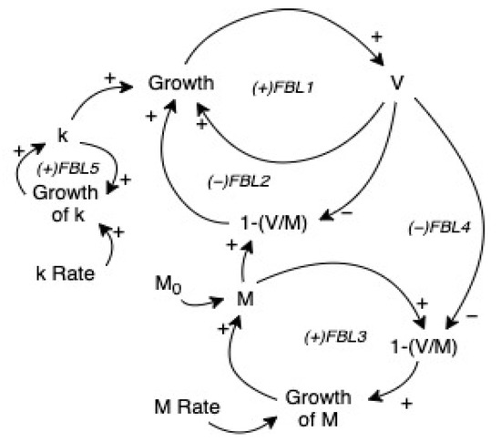 System Dynamics Approach to TALC Modeling