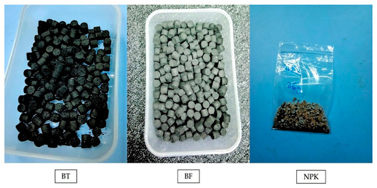 Biochar Tablets with and without Embedded Fertilizer on the Soil ...