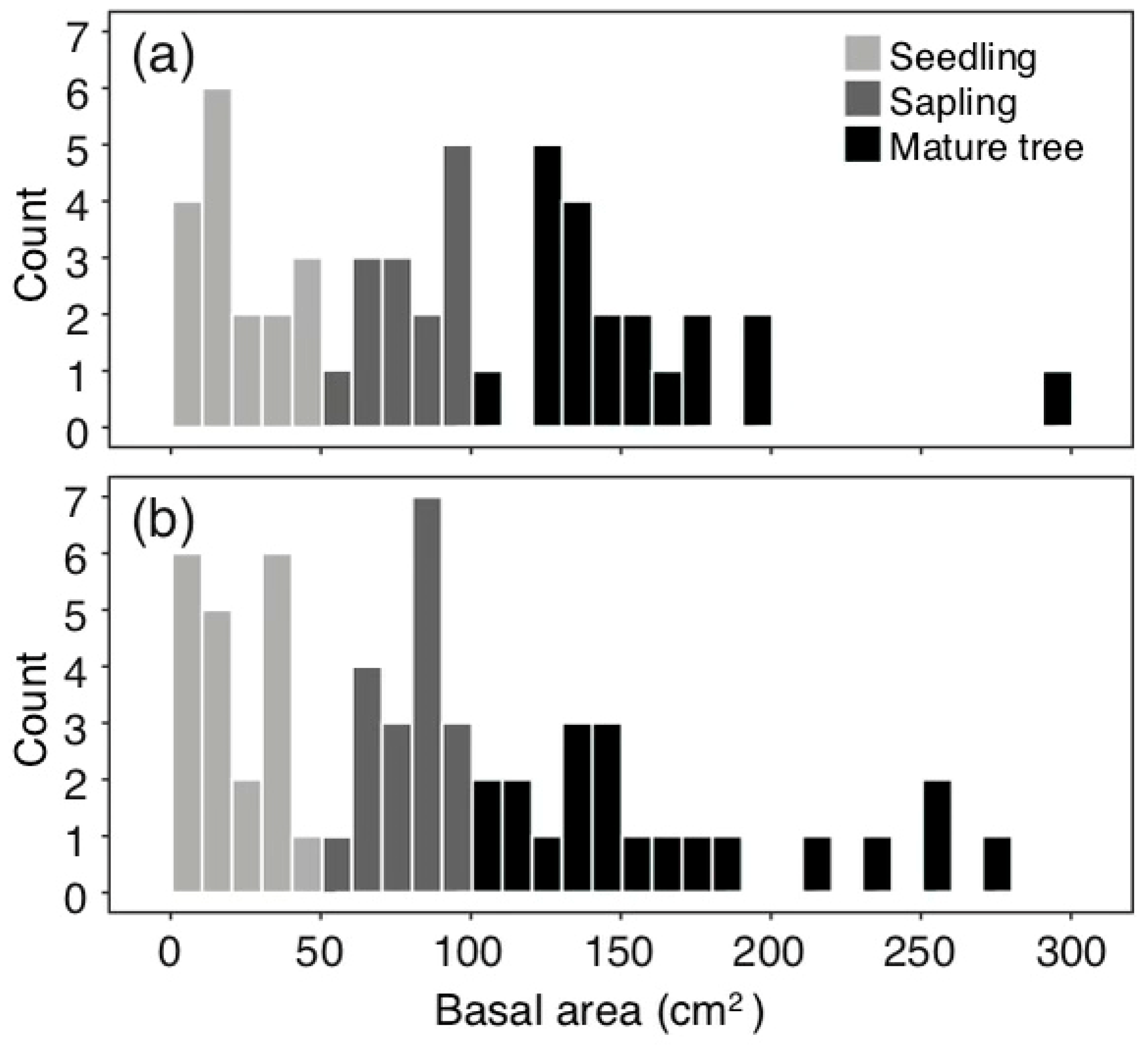 Applicability of Structure-from-Motion Photogrammetry on Forest ...