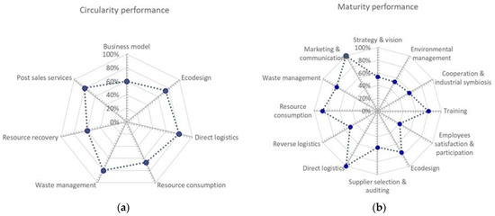 Circular Economy at the Firm Level: A New Tool for Assessing Maturity ...