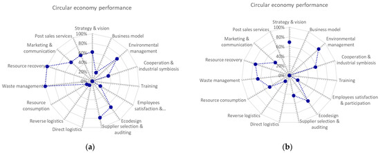 Circular Economy at the Firm Level: A New Tool for Assessing Maturity ...