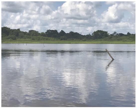 Economic Valuation of Benefits in Freshwater Ecosystems: Complex ...