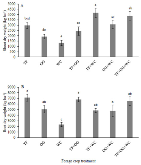 Forage Species Identity Shapes Soil Biota in a Temperate Agroecosystem