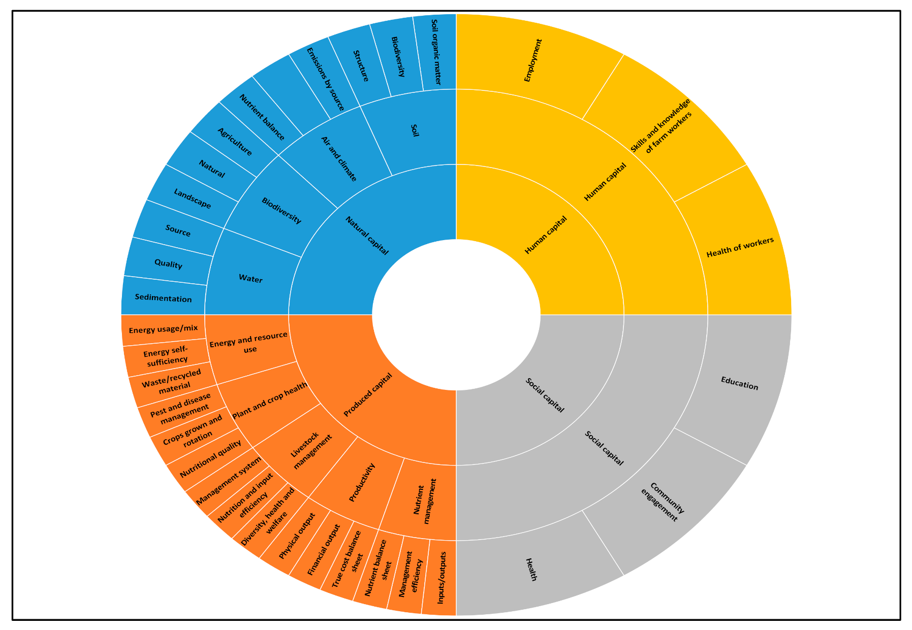 Sustainability Free Full Text True Cost Accounting Of Food Using
