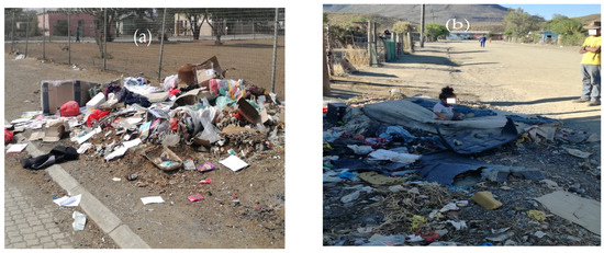 Household Waste Management Practices and Challenges in a Rural Remote ...