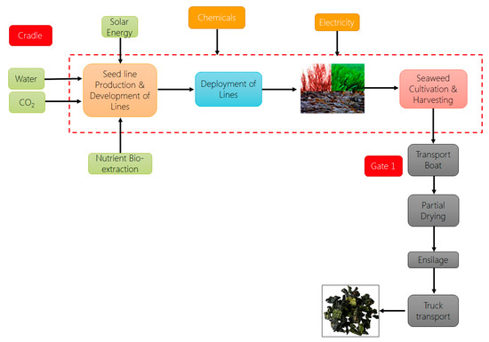 Sustainability | Free Full-Text | A Systematic Review on Seaweed ...