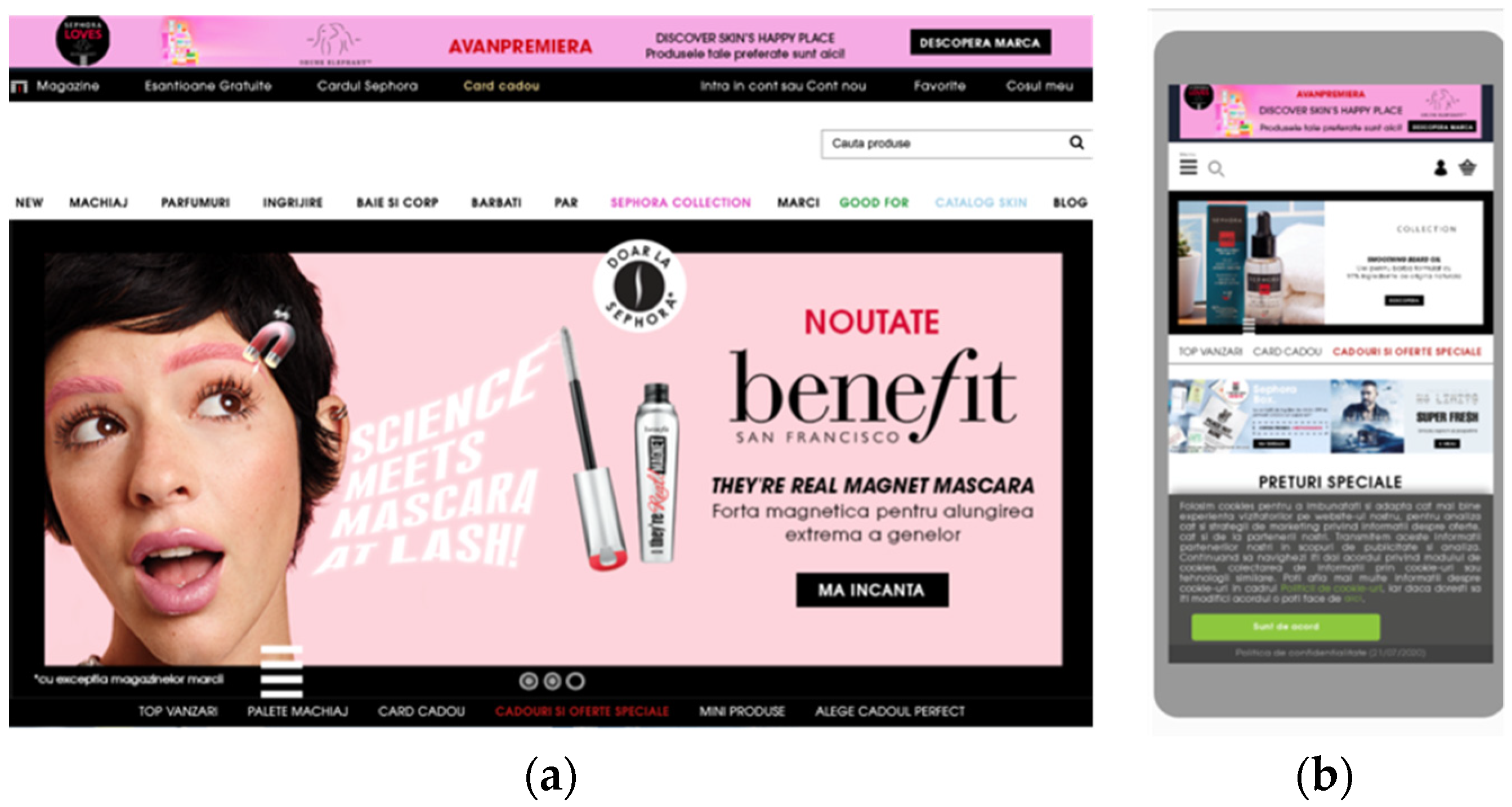 How Can SMEs Become More Sustainable? Modelling the M-Commerce Consumer ...