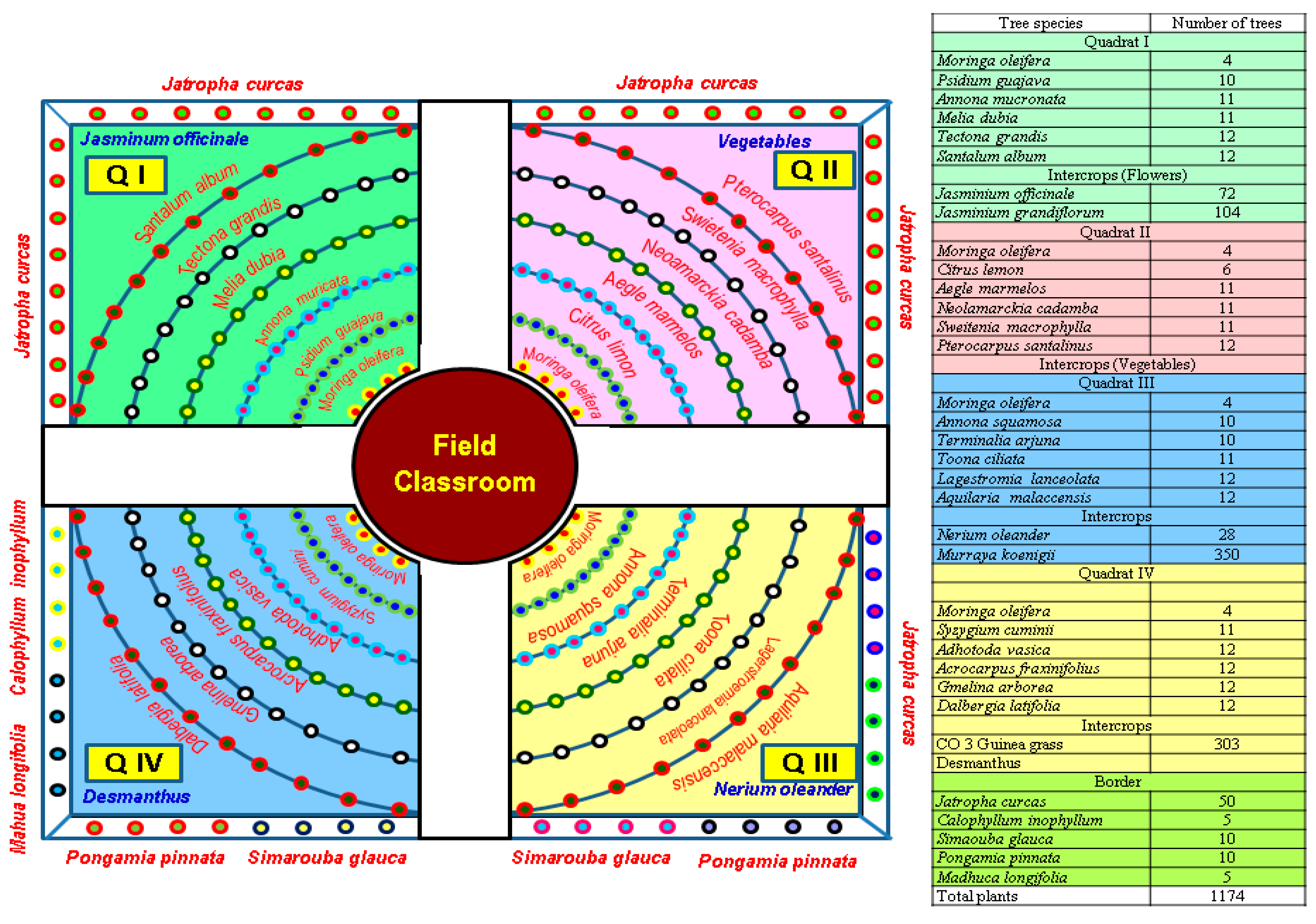 Sustainability | Free Full-Text | Industrial Agroforestry—A Sustainable ...
